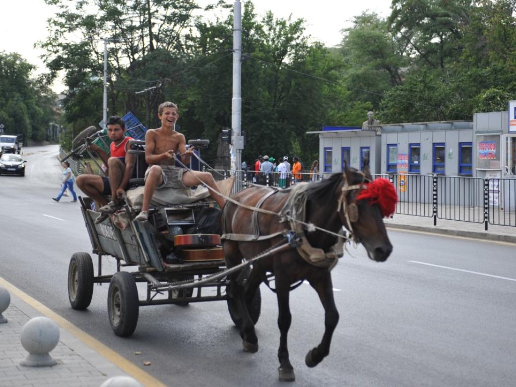 Окончателно: Забраняват каруците в София от 1 юни - България - Vesti.bg