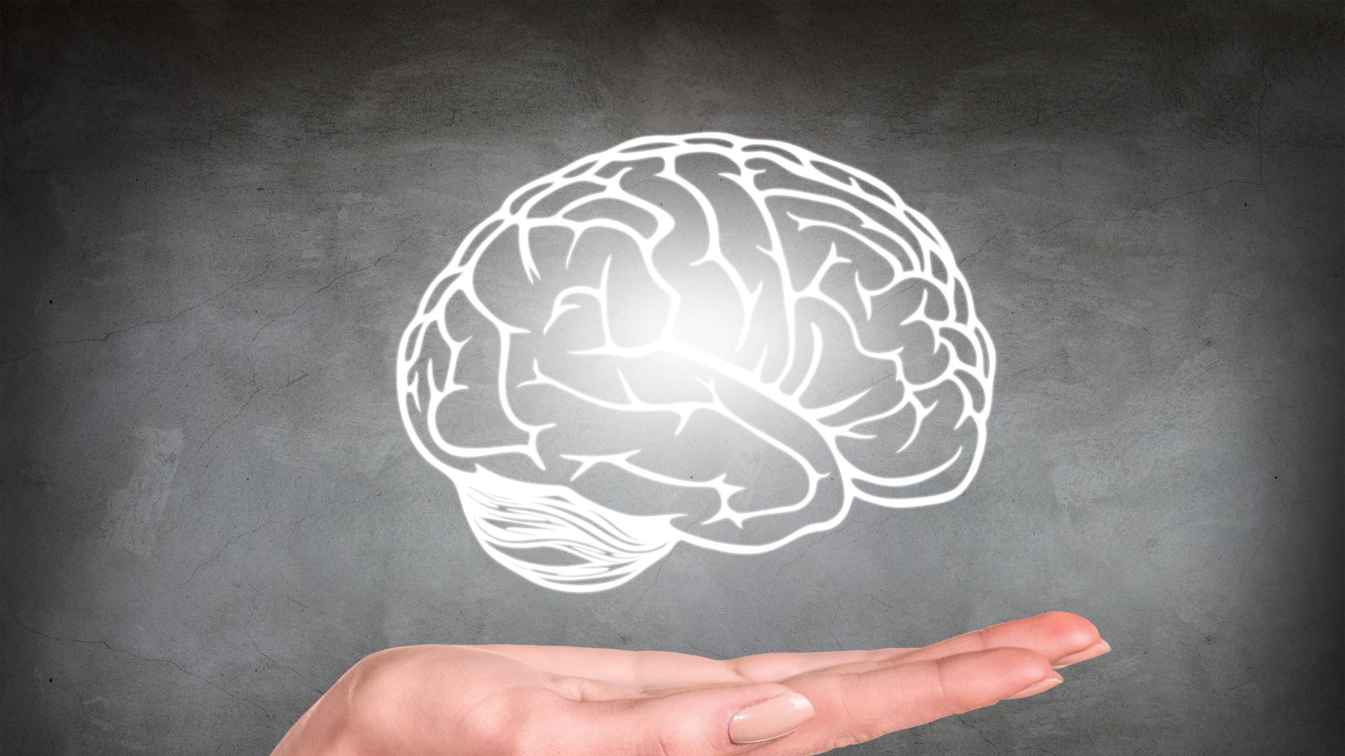 15 любопитни факта за човешкия мозък|Vesti.bg