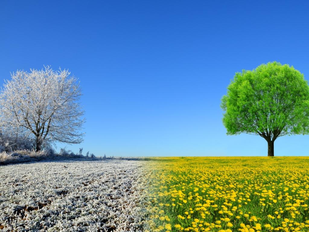 Най-студеният ден от седмицата, до -20 градуса през март - България ...