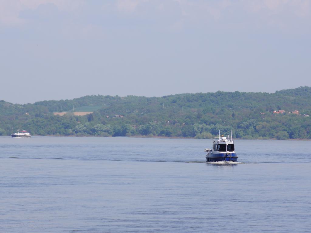 Спад в нивото на река Дунав критични участъци край Свищов Русе и Силистра България Vesti Bg