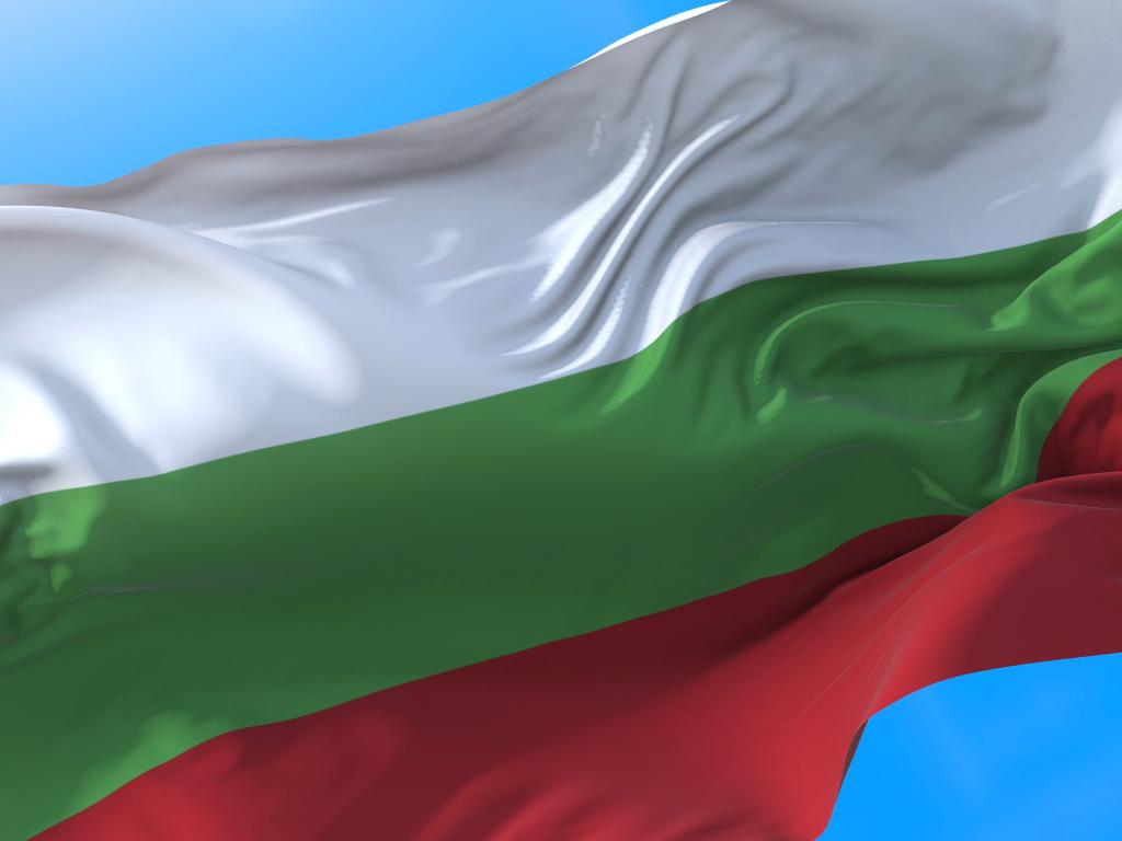 Скопие осъди запалването на българското знаме - Свят - Vesti.bg