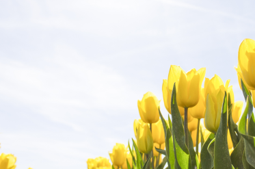 Новини от последния час | Vesti.bg