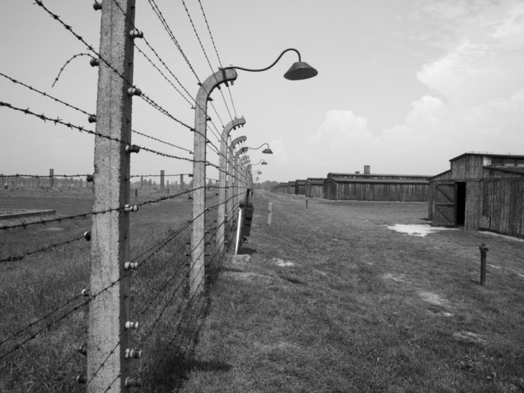 Нещастието да се родиш в Аушвиц: Историята на Анджела Орош - Vesti.bg