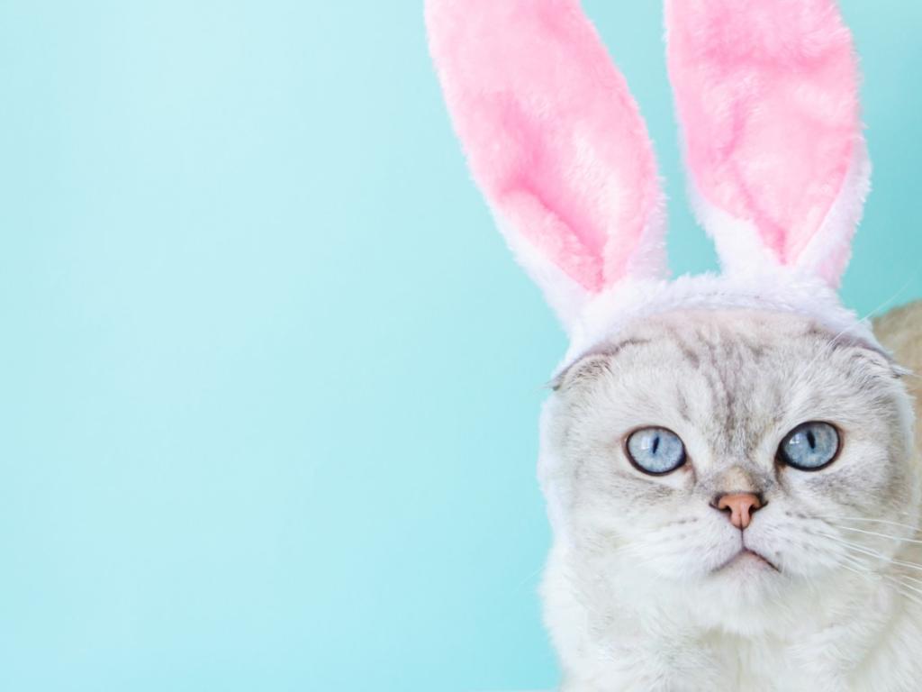 Защо Великден е на различна дата всяка година - Любопитно - Vesti.bg