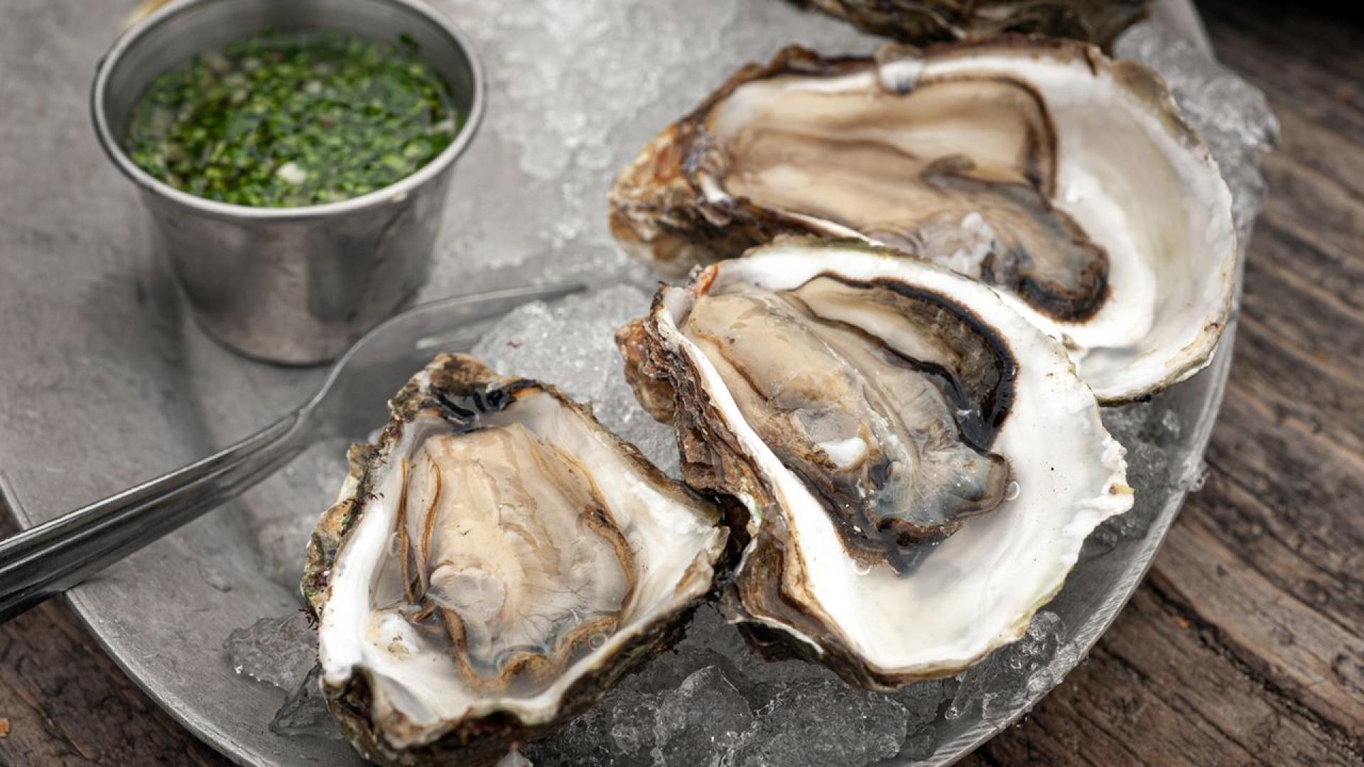 Кръвта от стриди: Ново оръжие в борбата със супербактериите - Любопитно ...