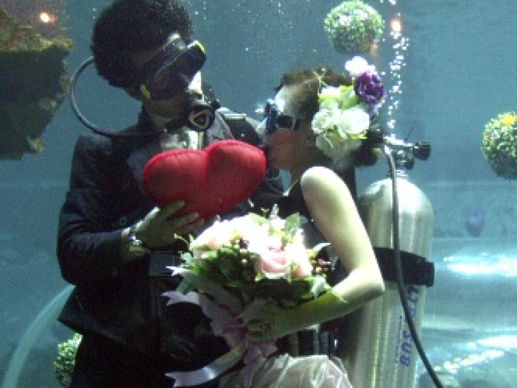 Брачни клетви при нулева гравитация - Технологии - Vesti.bg