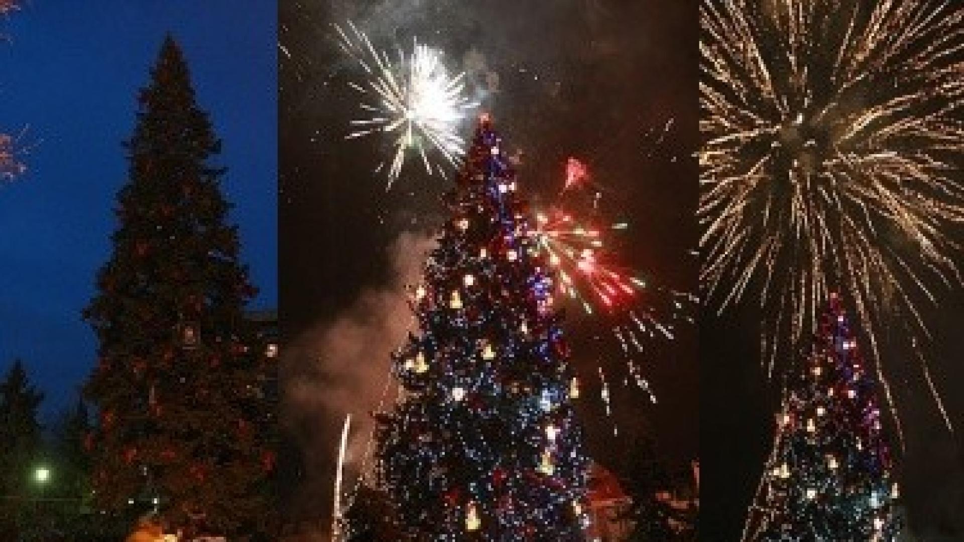 Коледното настроение идва в София на 1 декември|Vesti.bg