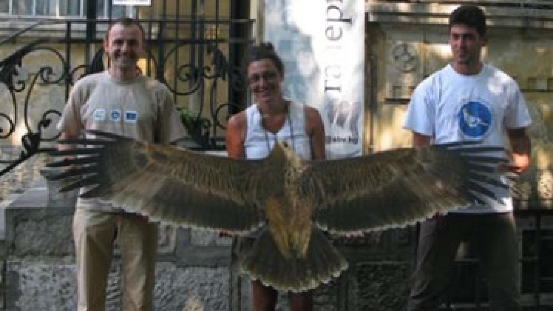 Приятели разказват за дивата природа със средствата на изкуството|Vesti.bg