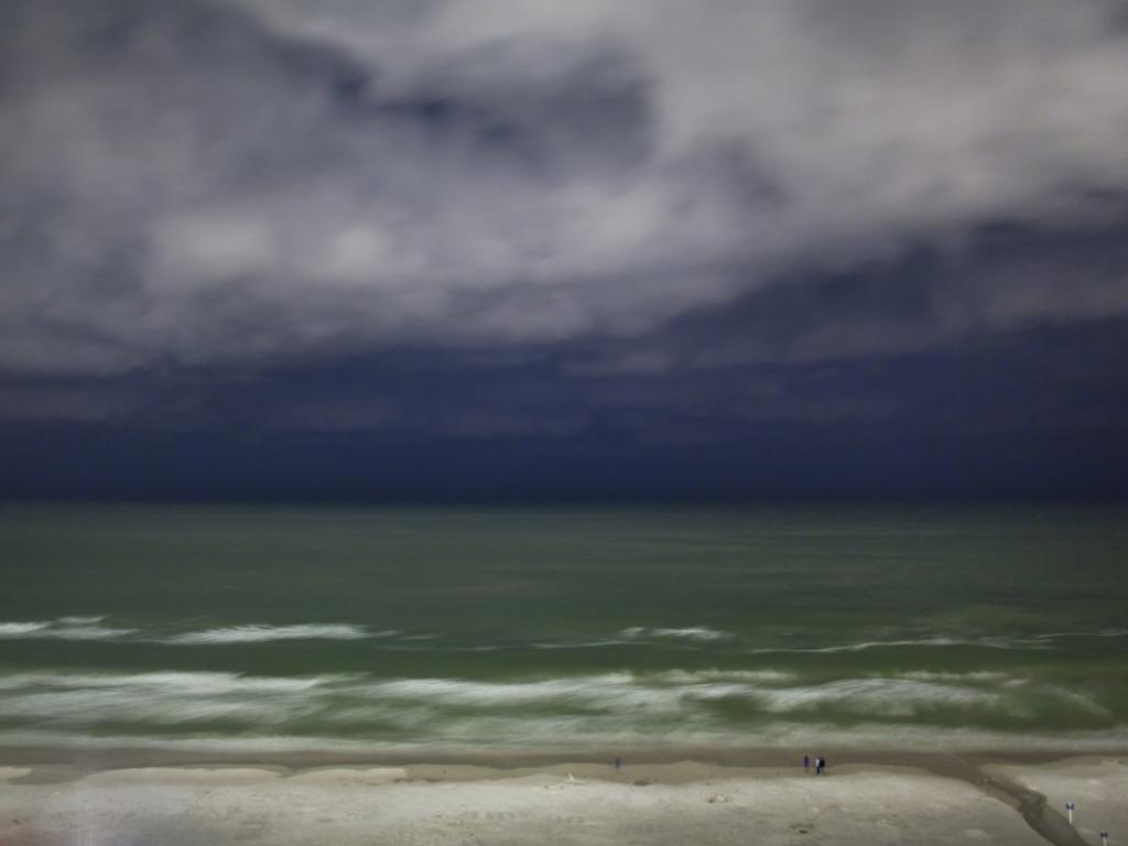 Откриха древна гора под водата в Мексиканския залив - Технологии | Vesti.bg