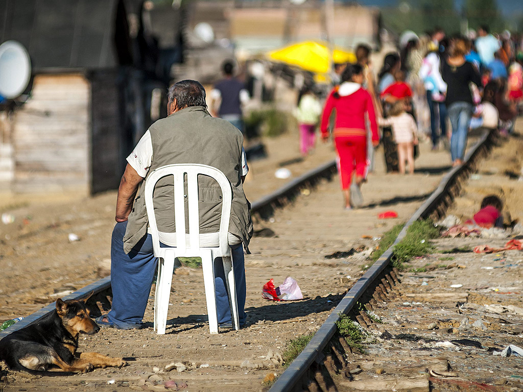Как живеят румънските роми - Сн. 13 Фото галерии - Vesti.bg